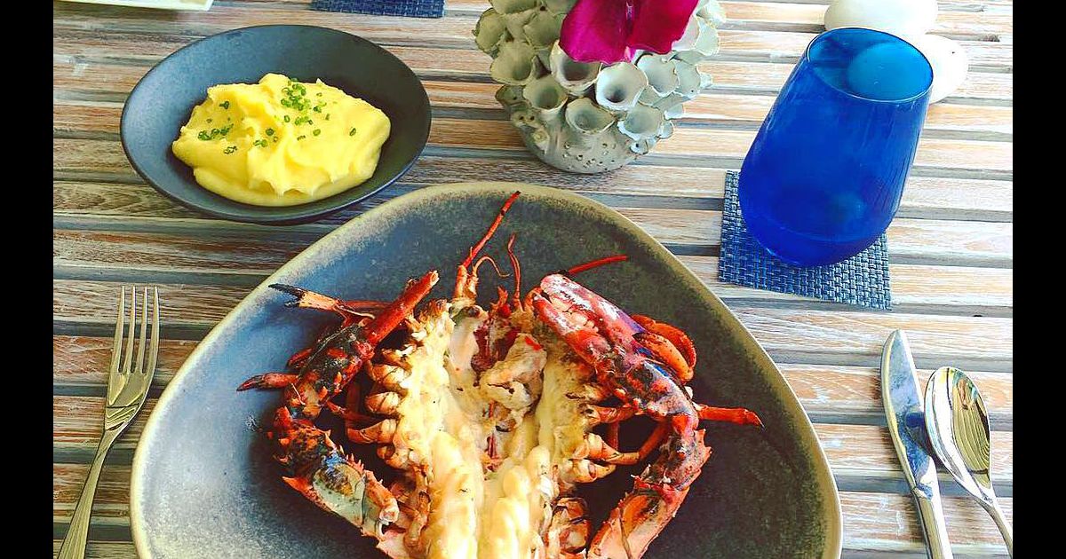 Marina Ruy Barbosa diz que gosta de compartilhar dicas de comidas e ...