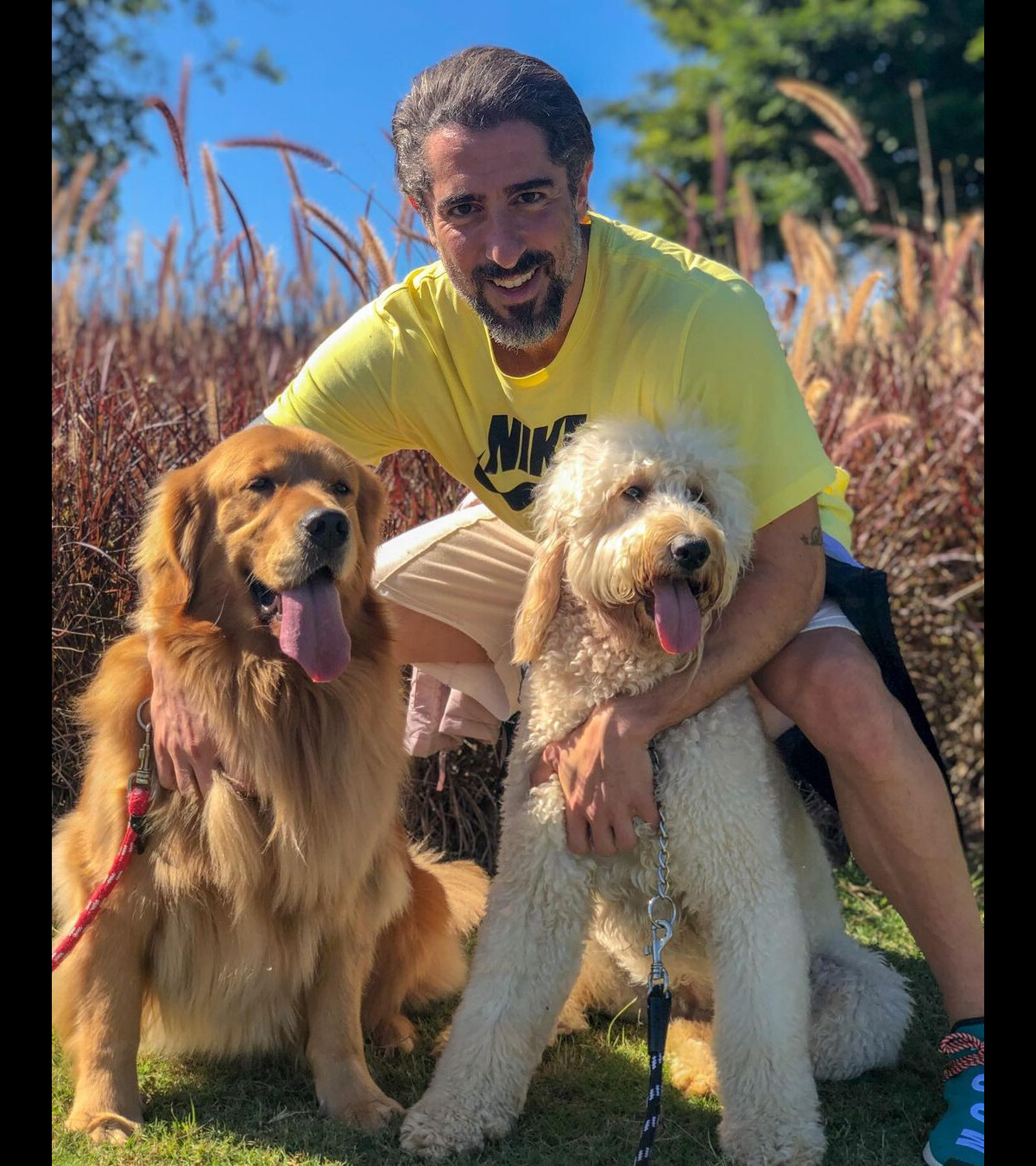 Foto: Quem acompanha Marcos Mion sabe que o apresentador é responsável ...