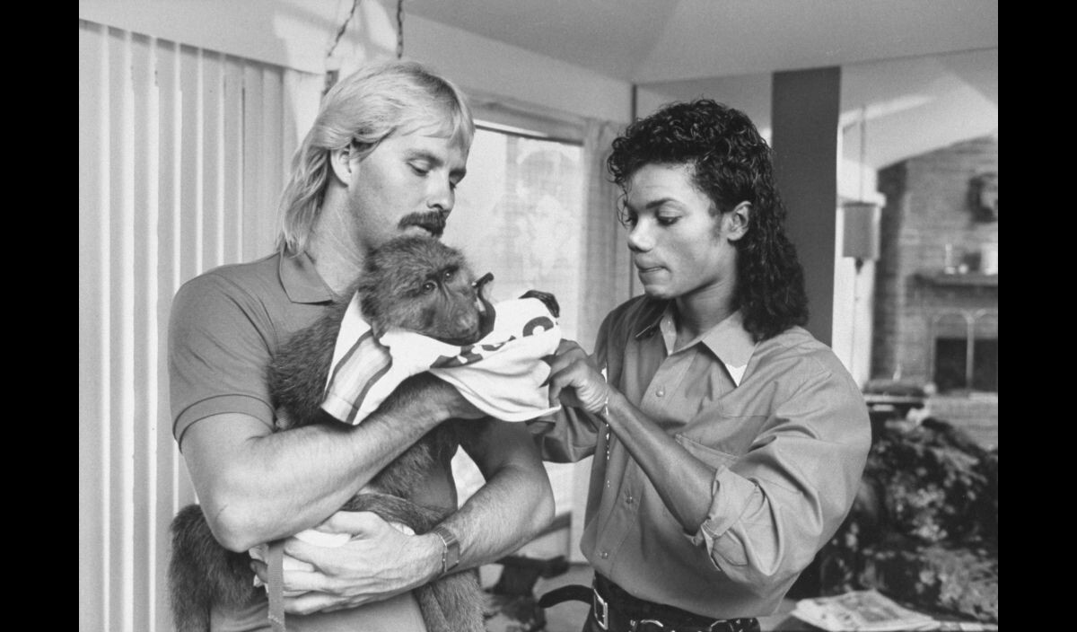 Foto: Michael Jackson gostava de macacos e chegou a ter um animal ...