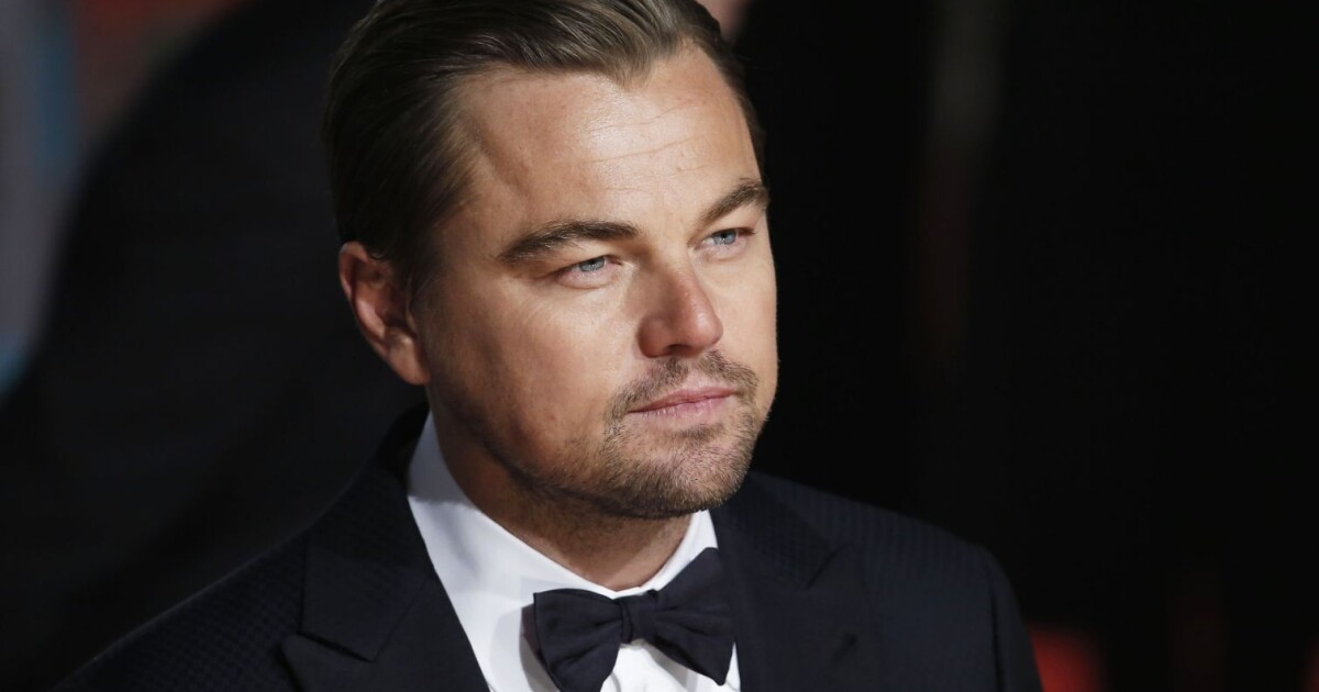Leonardo DiCaprio concordou em aceitar um corte de 90% no salário e ...