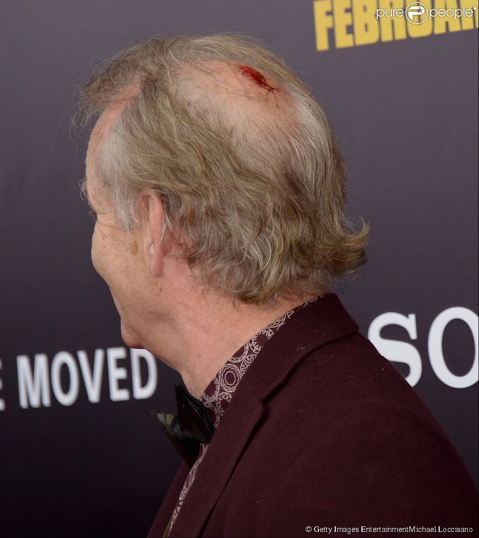 Bill Murray vai a lançamento de filme com a cabeça sangrando. Veja foto ...