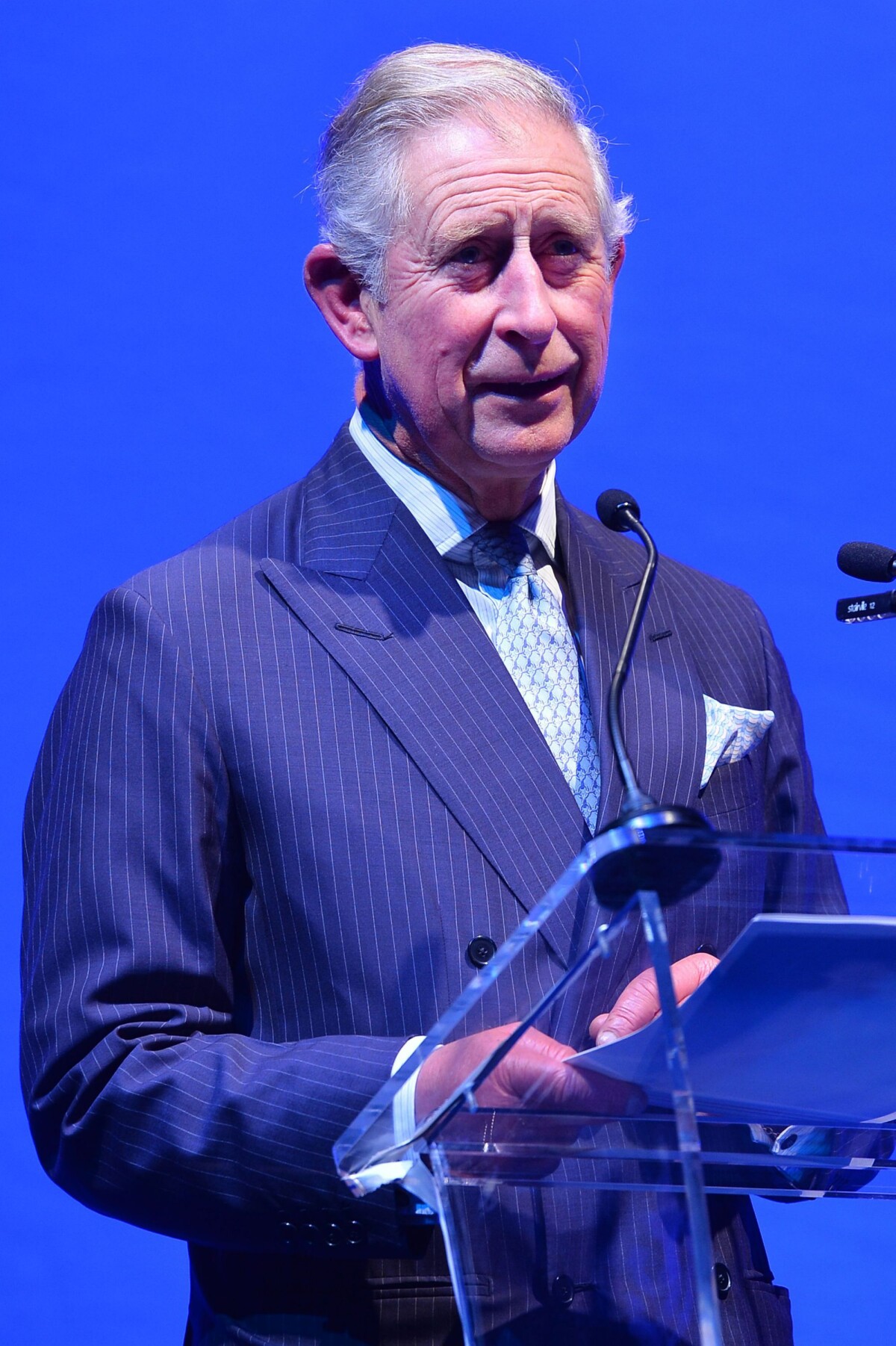 Foto: Rei Charles III deu o cargo de Lord-in-waiting para David ...