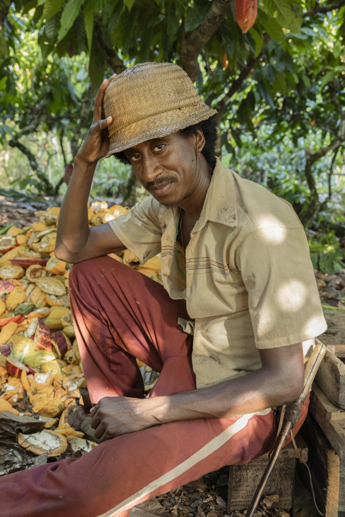 Foto: Jupará será um mateiro conhecedor das plantas e árvores, que ...