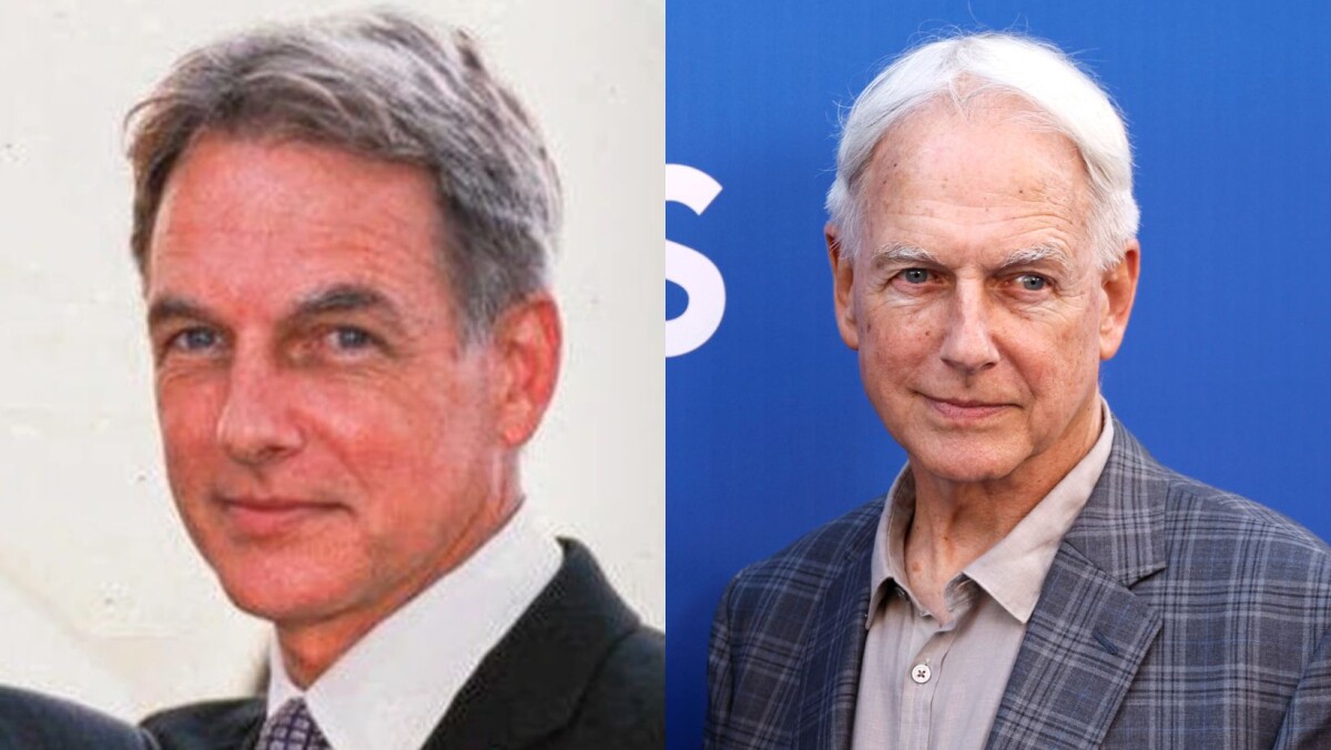 Foto: Mark Harmon interpreta Ryan Volvo, noivo de Tess, em 'Sexta-feira ...