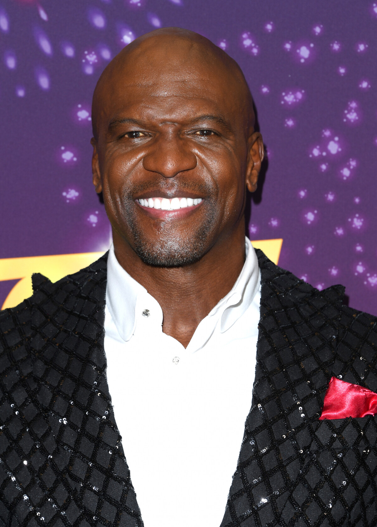 Foto: Em entrevista a Bear Grylls, Terry revelou: 'Eu sabia que tinha ...