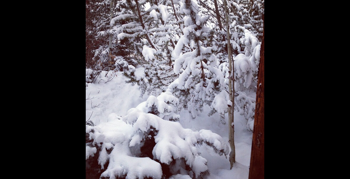 Foto: Mariah Carey mostrou o seu quintal, tomado pela neve do inverno ...