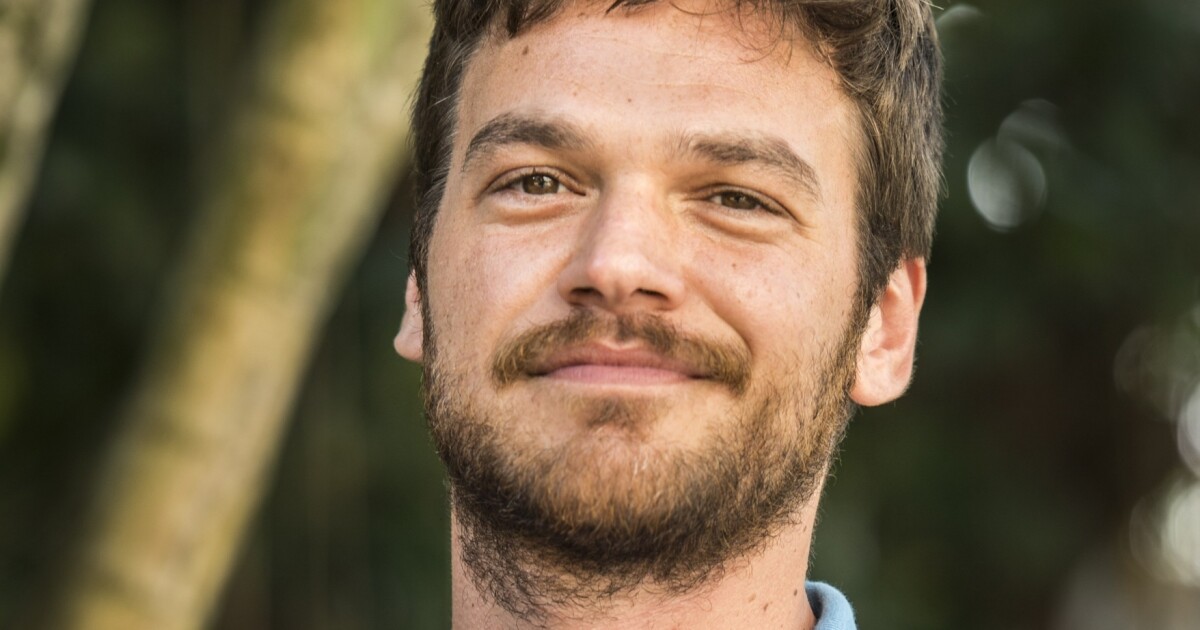 'A Força do Querer': após flagra de Bibi, Rubinho volta a flertar com ...