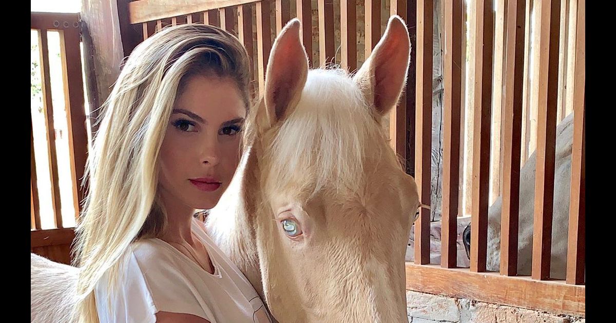 Bárbara Evans venceu uma das temporadas do reality 'A Fazenda' - Purepeople