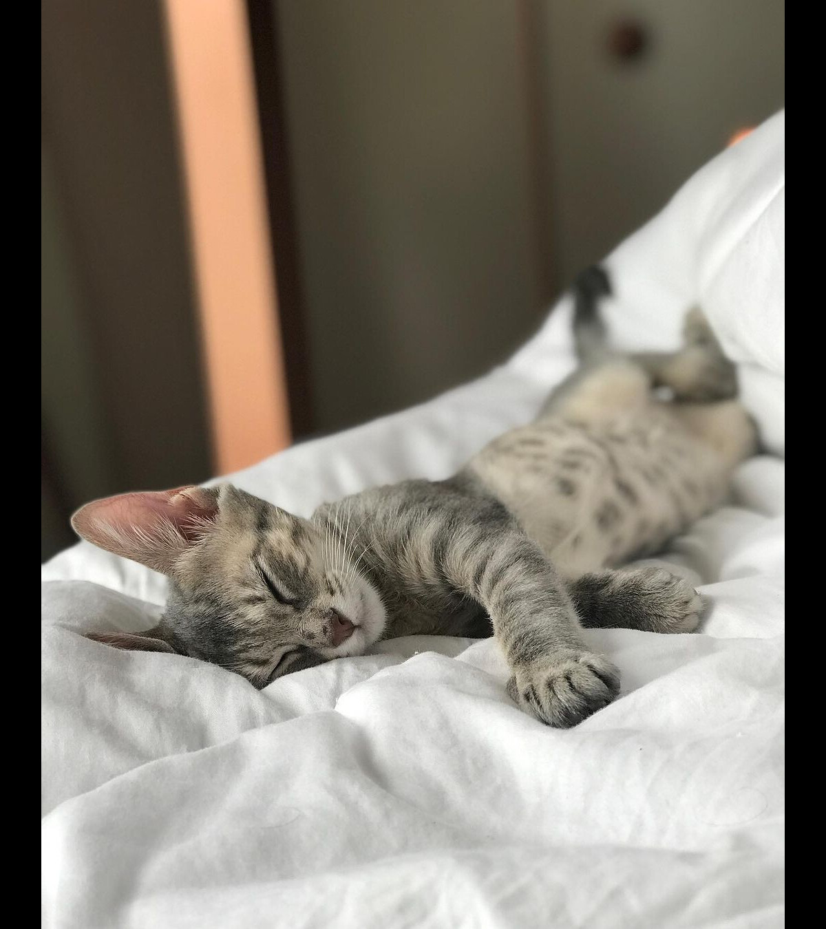 Foto: Bianca Andrade 'ganhou' Lua desde quando ela passou a morar ...