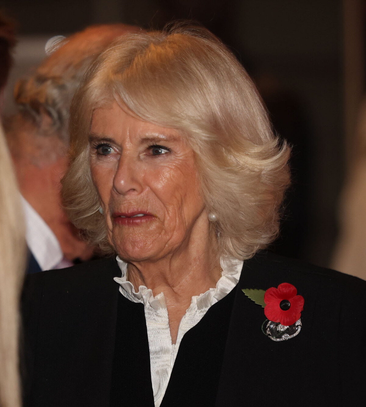 Foto: Como Rainha consorte, Camilla pode substituir o companheiro em ...