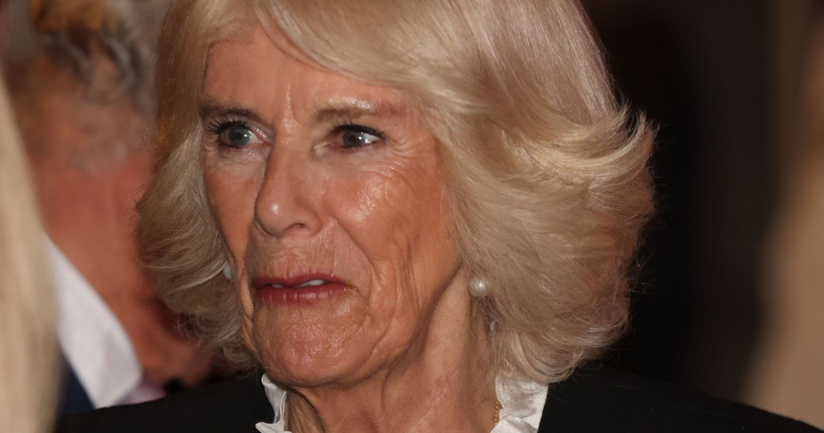 Como Rainha consorte, Camilla pode substituir o companheiro em funções ...