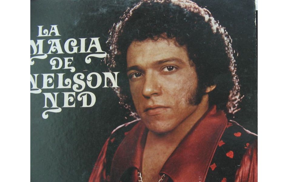 Morre o cantor Nelson Ned, aos 66 anos, vítima de pneumonia - Purepeople