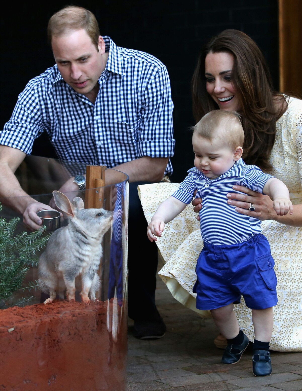 Foto: Kate Middleton, o príncipe William e príncipe George Alexander ...