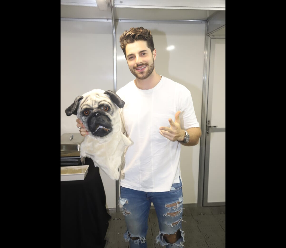Foto: Alok apostou apenas em uma máscara de cachorro para tocar no ...