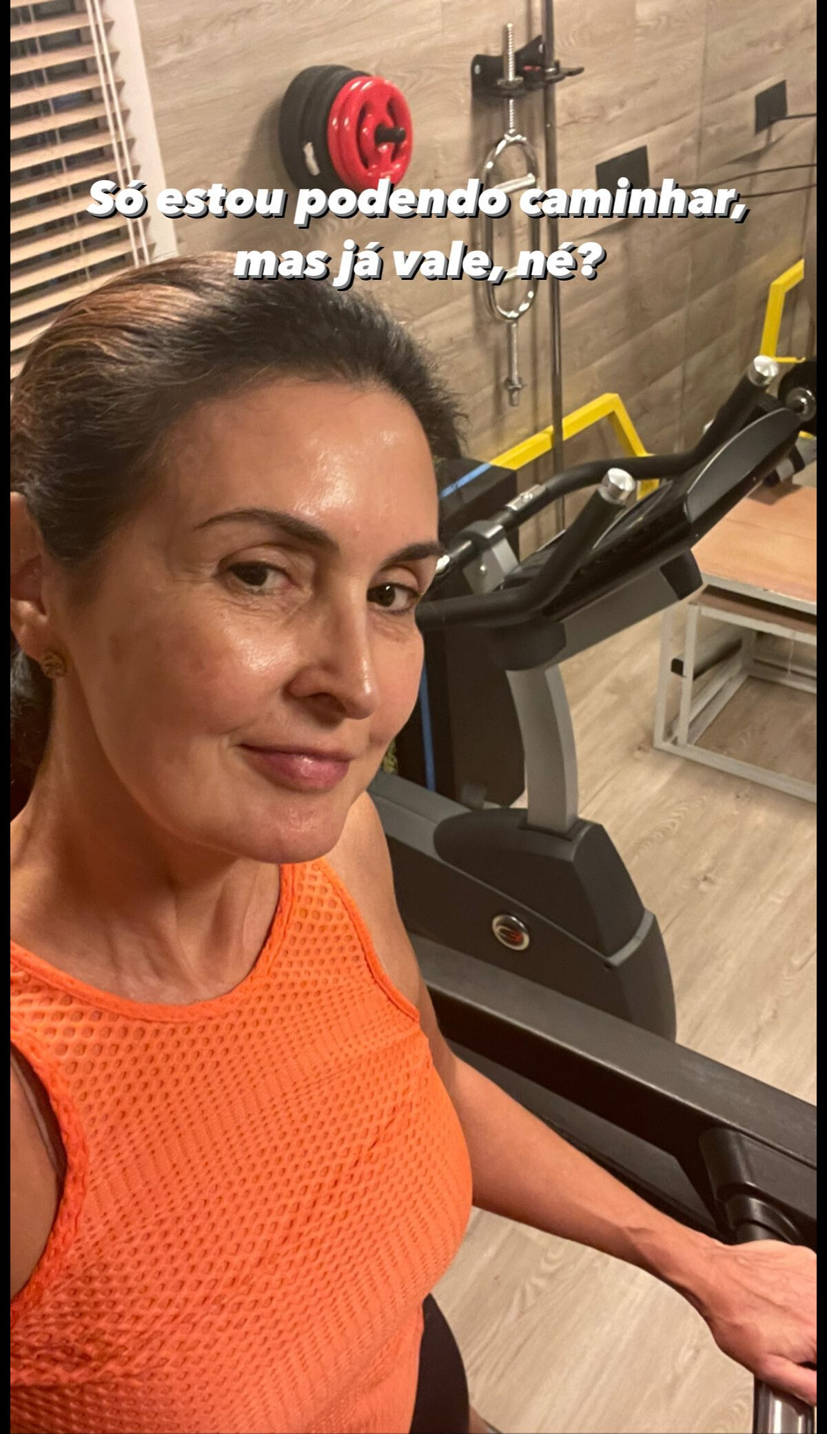 Foto: Fátima Bernardes mostrou bom humor ao comentar que só pode usar a ...