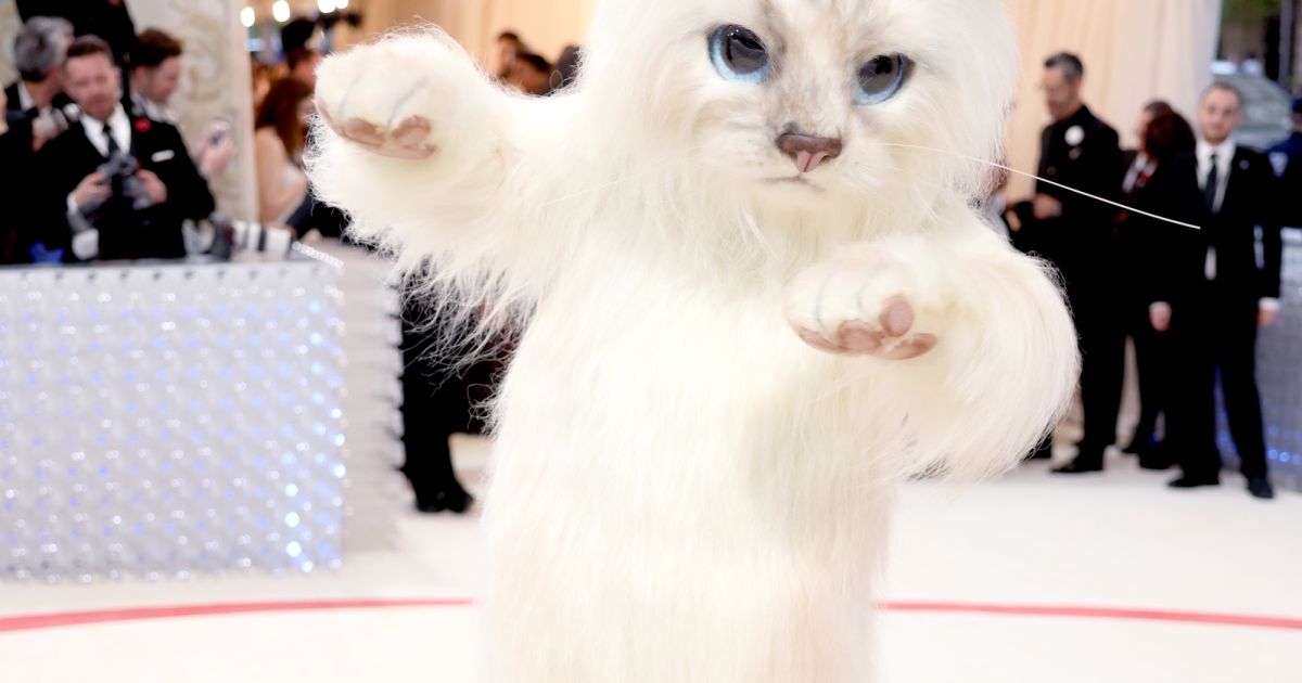 Gata de Karl Lagerfeld foi inspiração para fantasia criativa de Jared ...