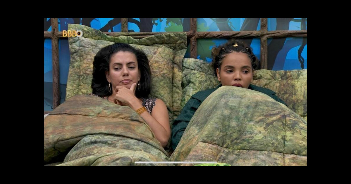 Talk show de Fernanda e Pitel, do 'BBB 24', no Multishow é confirmado ...