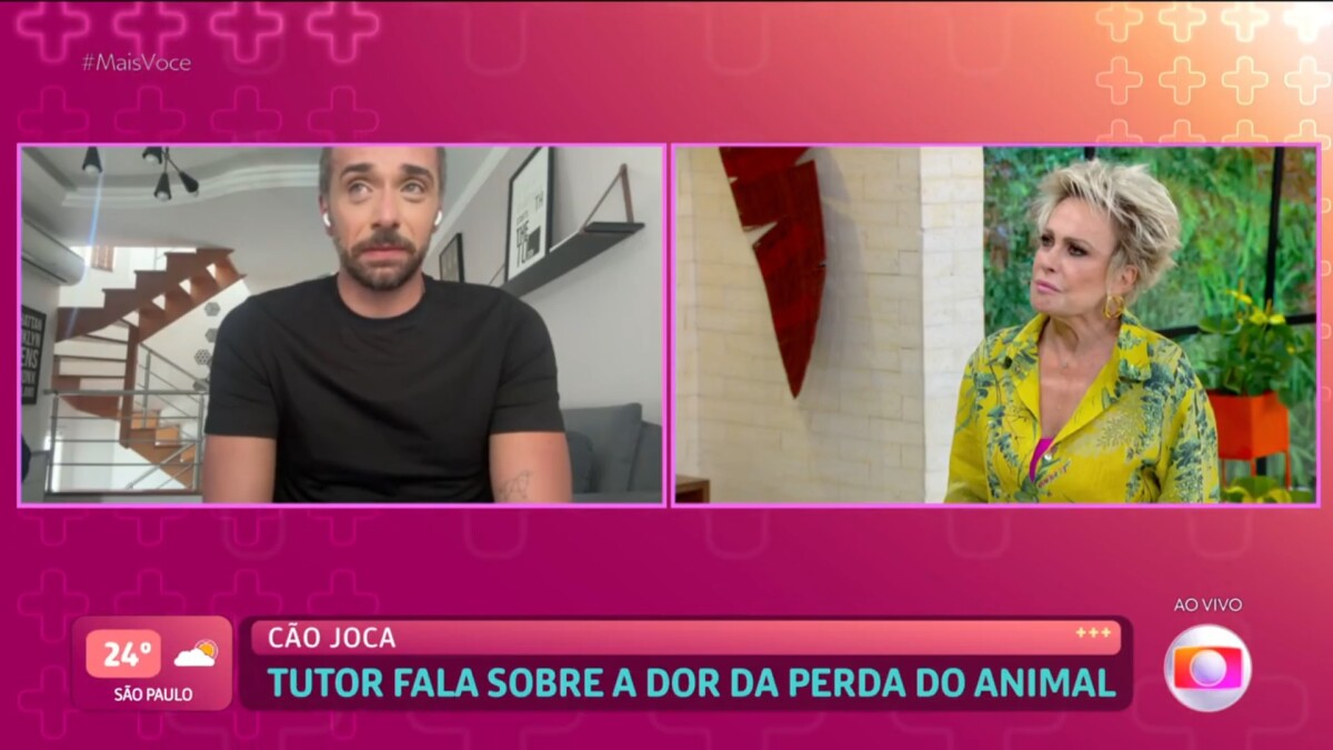 Foto: Morte do cão Joca ocorreu após pet ser colocado em voo para ...