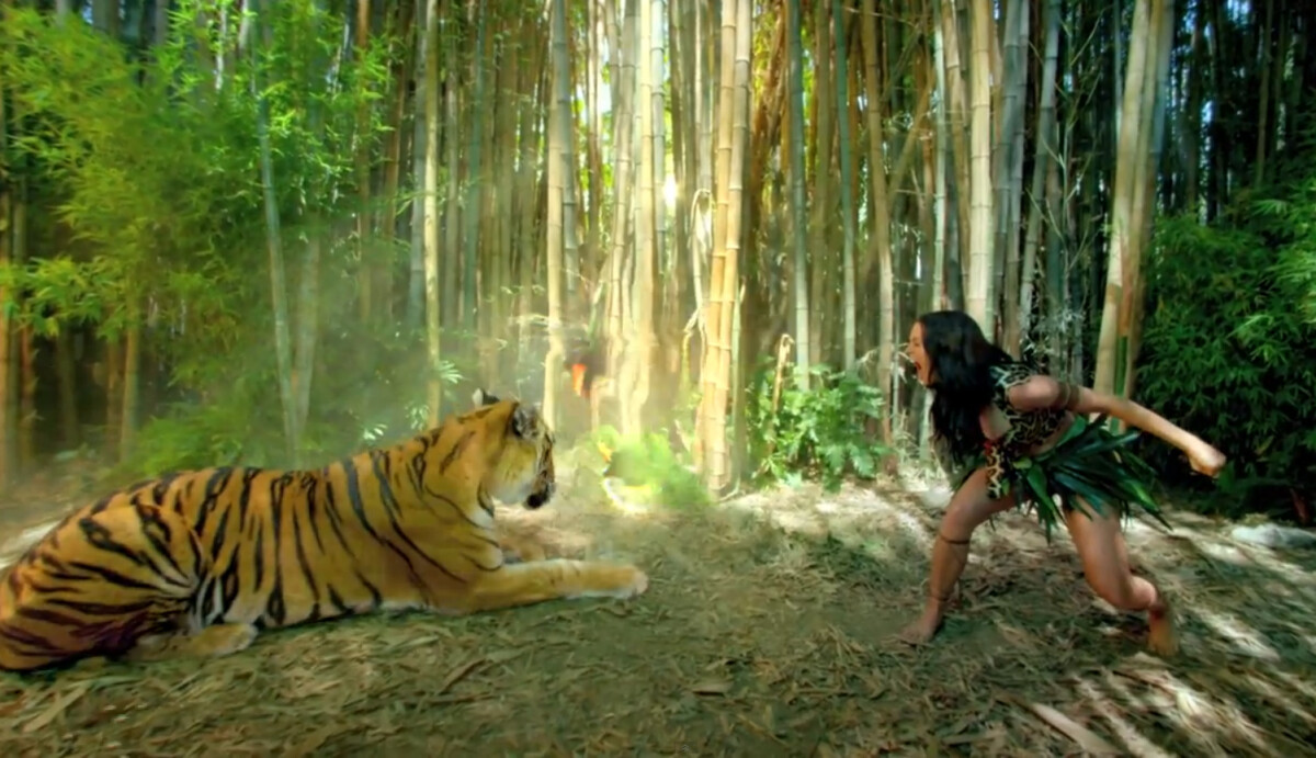 Foto: Katy Perry amansa um tigre, o animal que é símbolo de 'Roar', com ...