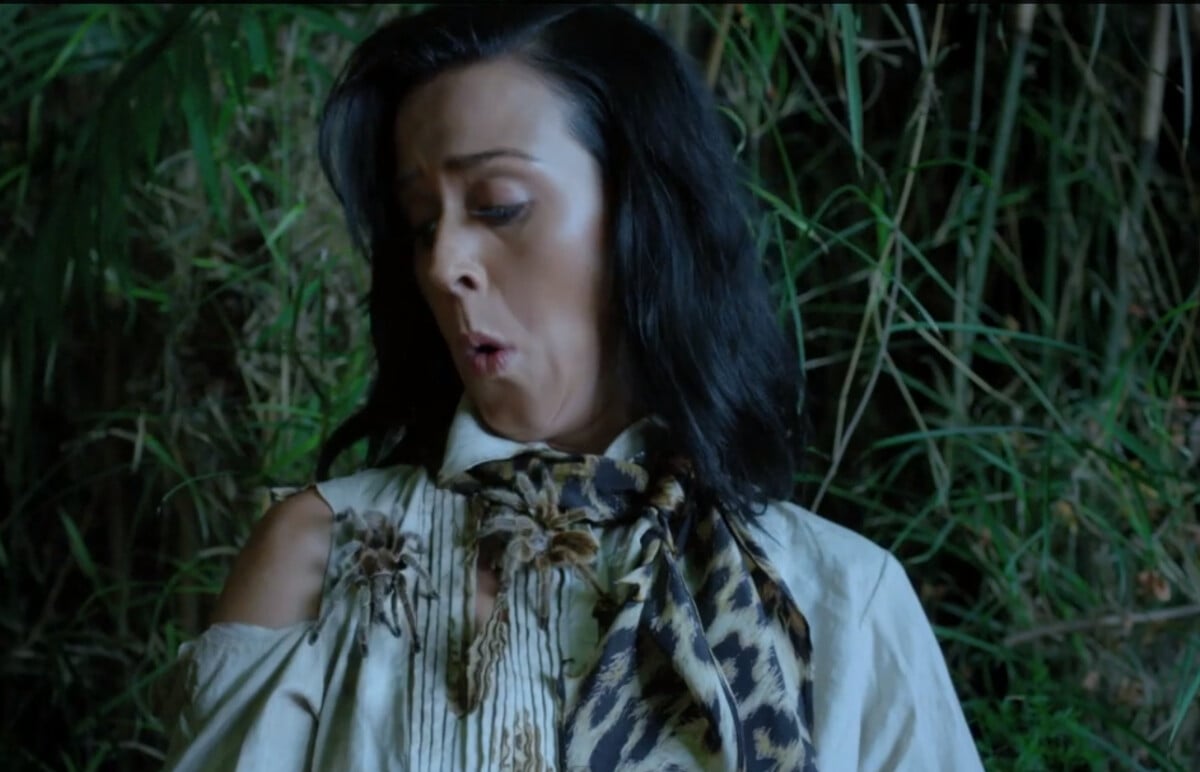 Foto: Katy Perry faz cara de medo enquanto atua com aranhas de verdade ...