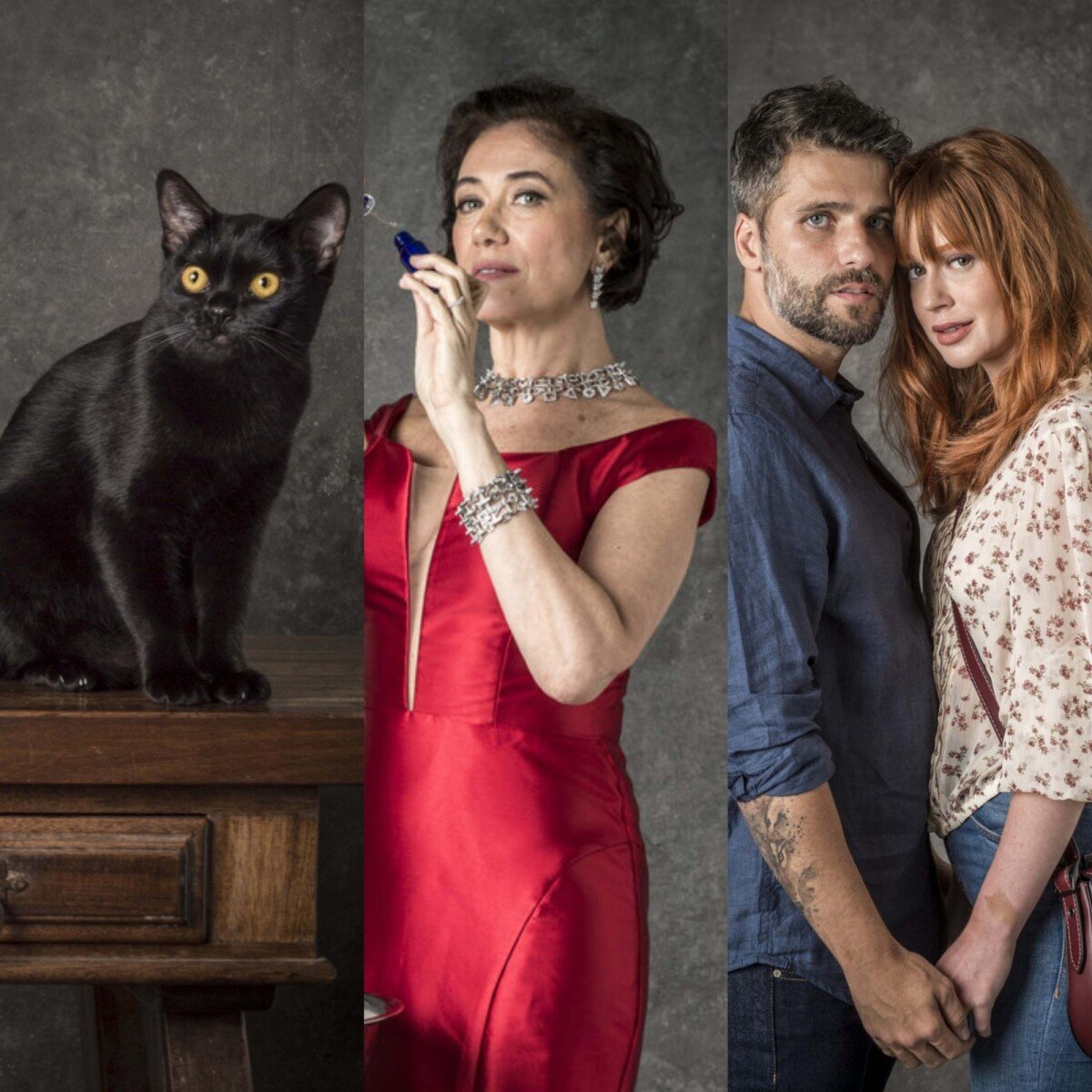 Foto Estreia De O Sétimo Guardião Gato Leon Vilã E Casal Luzbriel