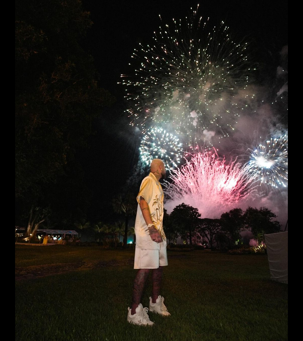 Foto: Neymar foi zoado por parte da web ao postar imagem de folhas com ...