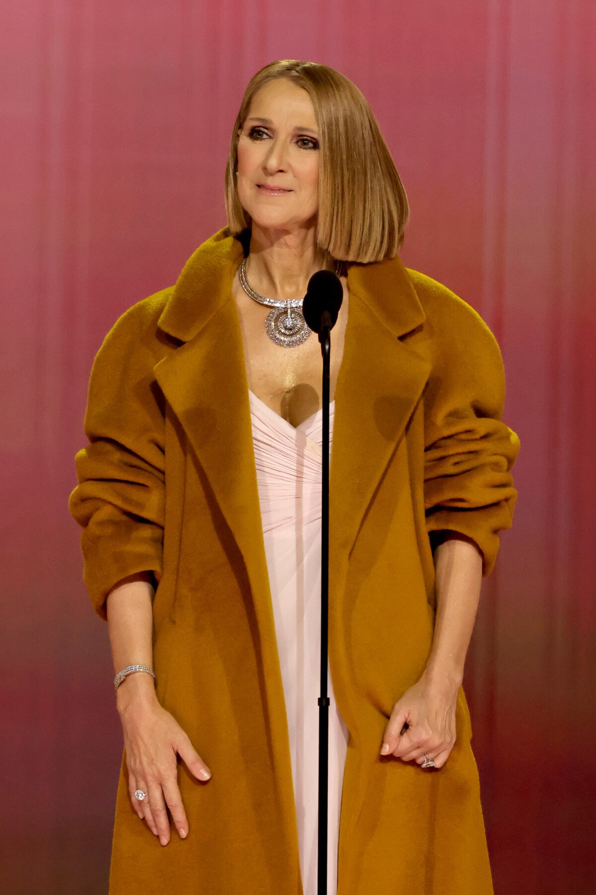 Foto Celine Dion Apareceu De Surpresa No Grammy Após Diagnóstico De