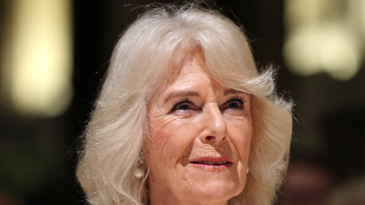 Foto: O futuro de Camilla: o que aconteceria com a Rainha consorte se ...