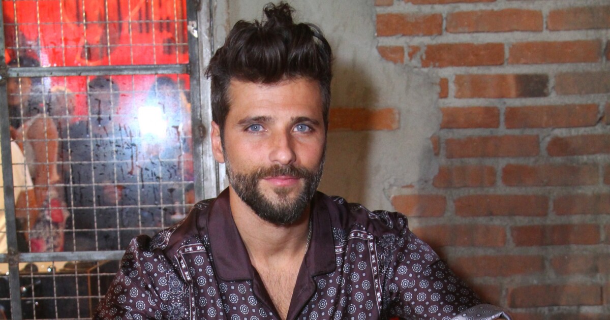 Bruno Gagliasso é sócio de 12 empreendimentos variados: 'Garantia de ...