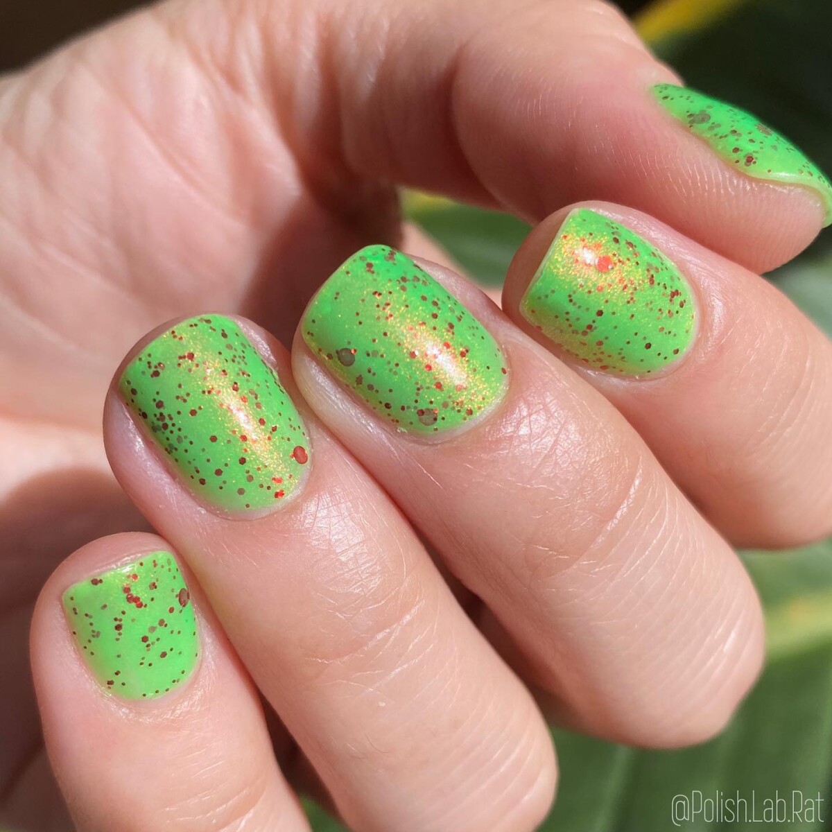 Foto Unhas Decoradas Com Pontinhos Coloridos Purepeople