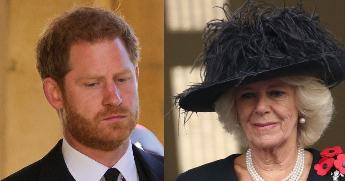 Príncipe Harry x Camilla Parker: biógrafa revela relação conturbada ...