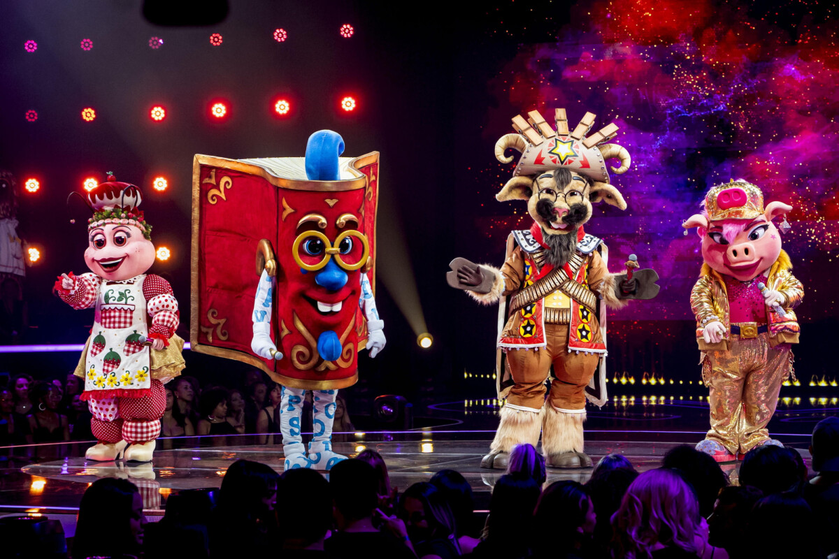 Foto: 'The Masked Singer Brasil': Bode, Livro, MC Porquinha e Dona ...