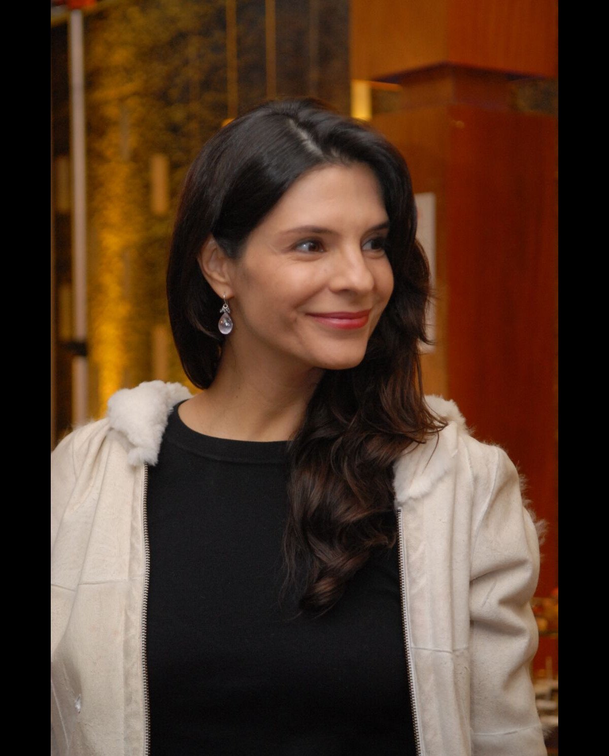 Foto: A última novela de Helena Ranaldi foi 'Fina Estampa' em 2012 ...