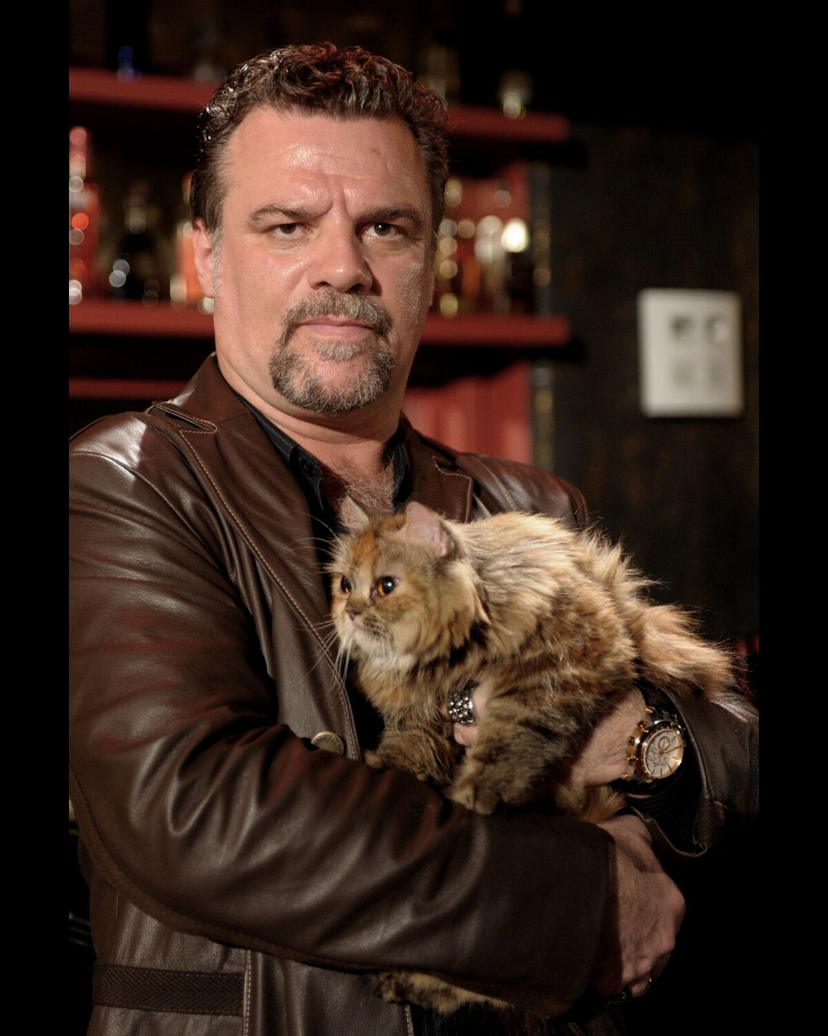 Foto: Jô faz carinho no gato de Russo e seduz o traficante - Purepeople