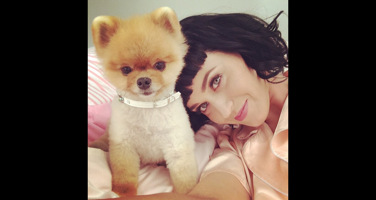 Foto: Katy Perry completa 30 anos com a turnê 'Prisma' - Purepeople