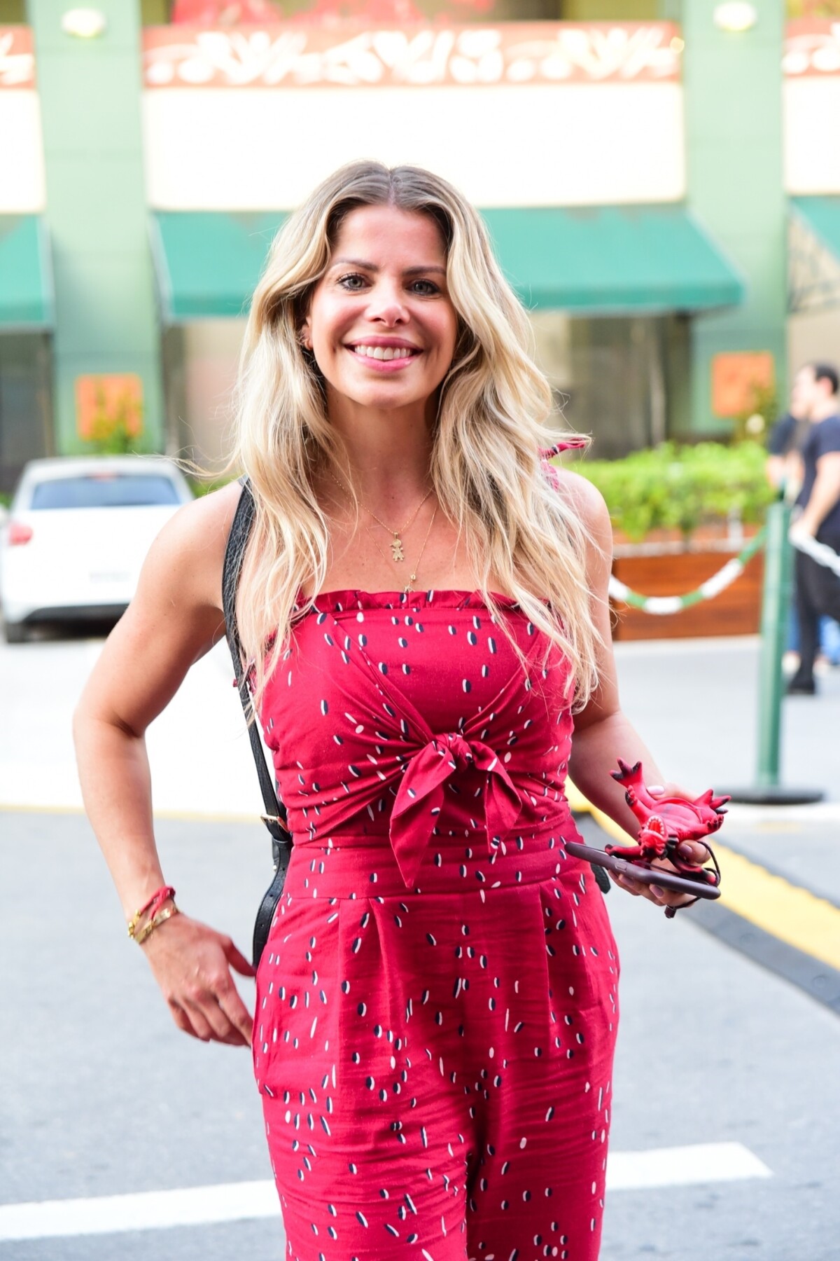 Foto: Karina Bacchi recorreu a uma fertilização in vitro para ter ...