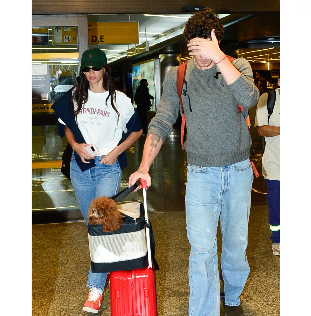 Foto: Shawn Mendes carregava a cadelinha Chihiro, adotada pela atriz ...