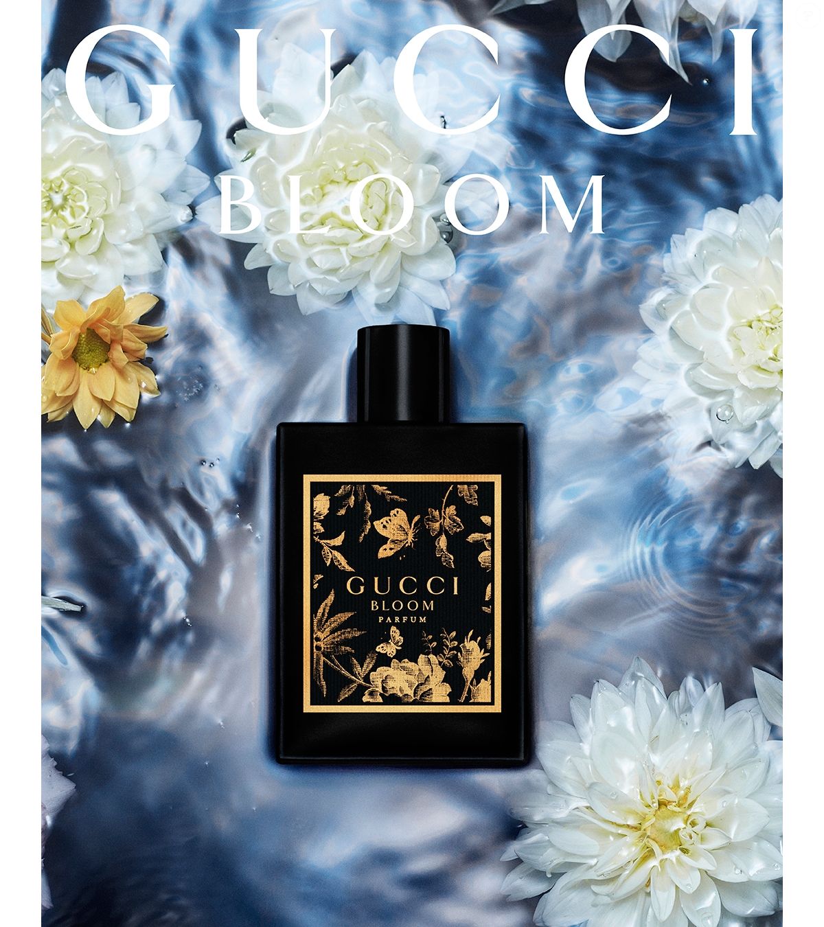 Foto: Perfume feminino Gucci Bloom Parfum tem notas olfativas criam ...