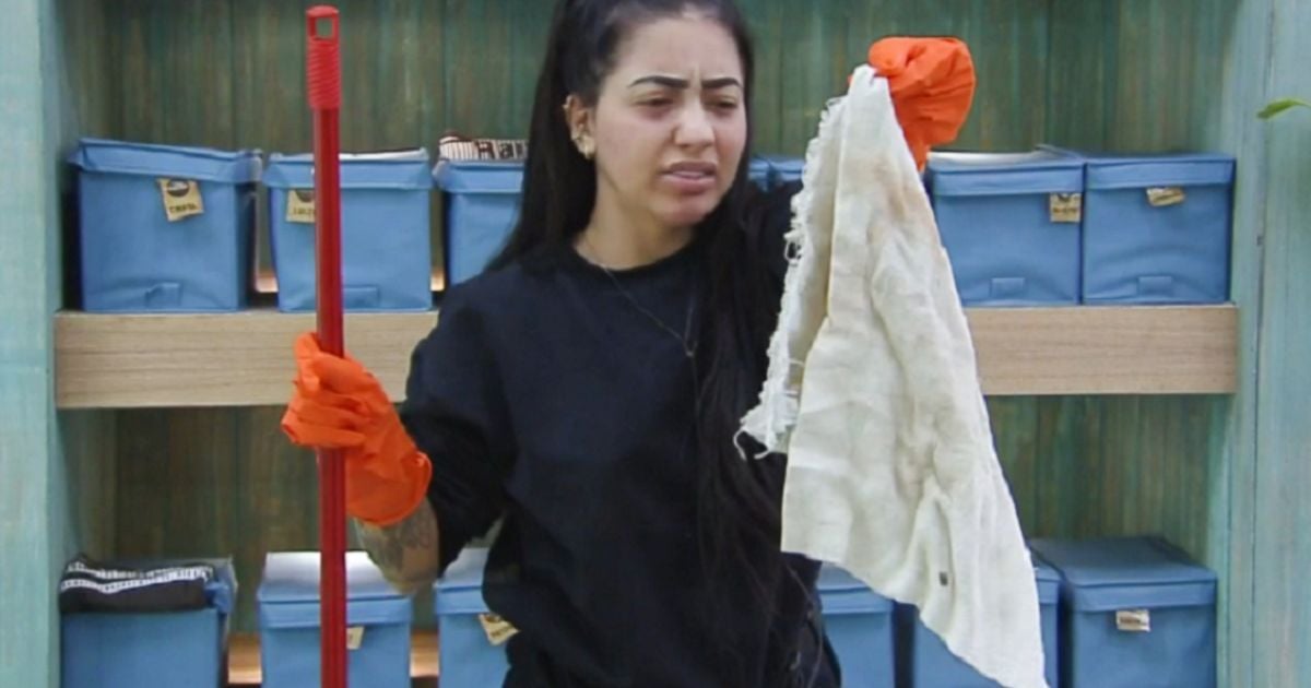 Já faz anos que não vejo uma barata em casa, e isso porque passo esses ...