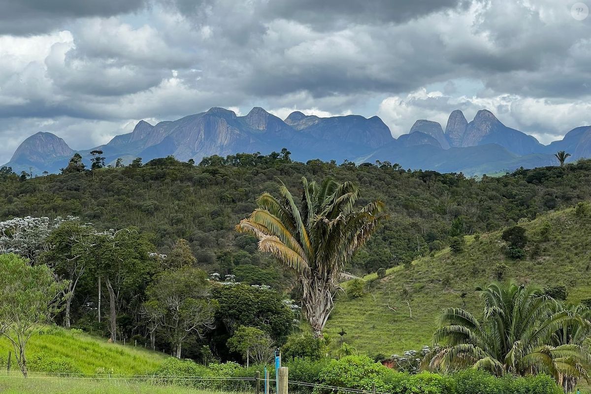 Foto: Marcos Palmeira já plantou cerca de 20 mil mudas de espécies ...