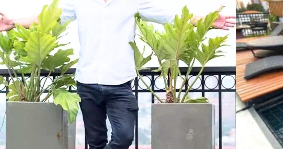 Do ‘BBB 26’ ao luxo no Morumbi: Henri Castelli vive em sofisticado ...